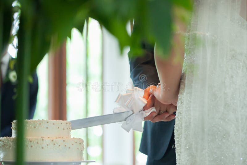 Cutting their wedding cake stock photo. Image of female - 55513484