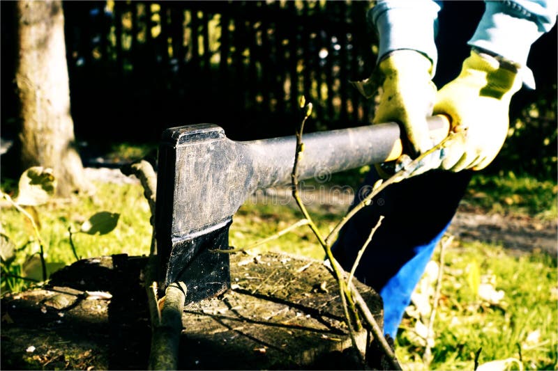 Cutting Timber with an Axe stock image. Image of timber - 348265895