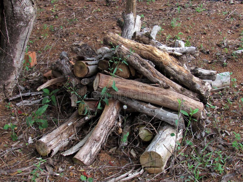 Cutting Tree for Use on Wood Stove Stock Image - Image of pile, wood ...