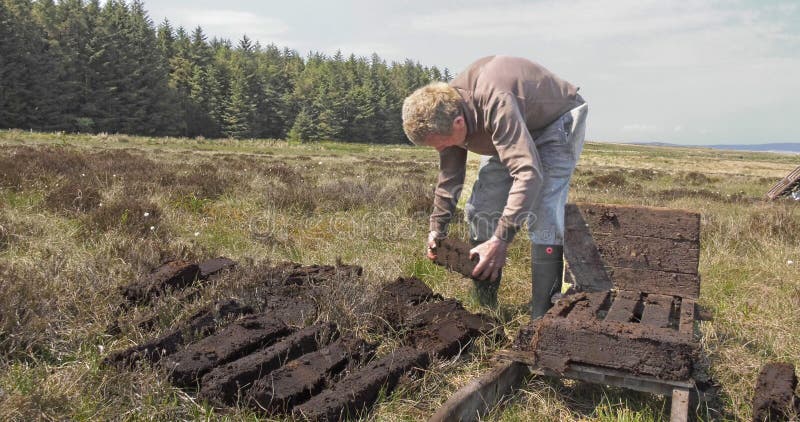 Cutting Turf Peat by Spade in Moss Bog in Ireland Stock Image - Image ...