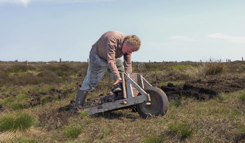 Cutting Turf Peat by Spade in Moss Bog in Ireland Stock Image - Image ...