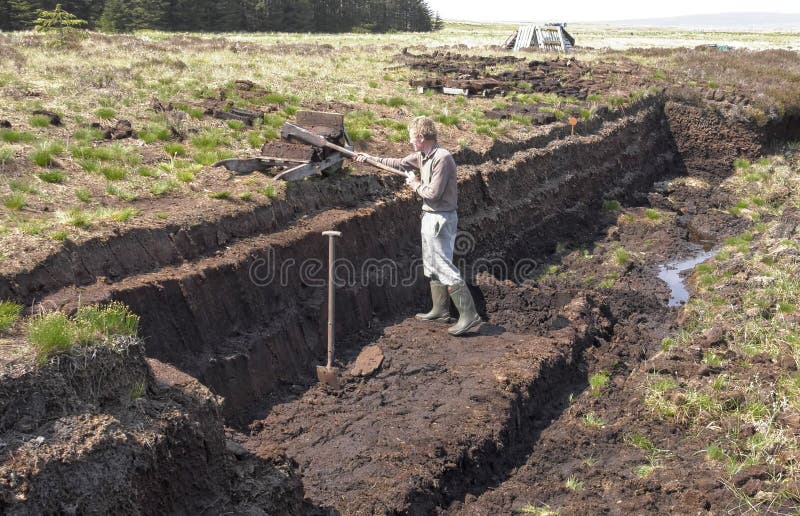 Cutting Turf Peat by Spade in Moss Bog in Ireland Stock Image - Image ...