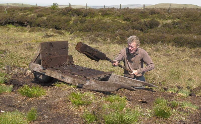 Cutting Turf Peat by Spade in Moss Bog in Ireland Stock Image - Image ...