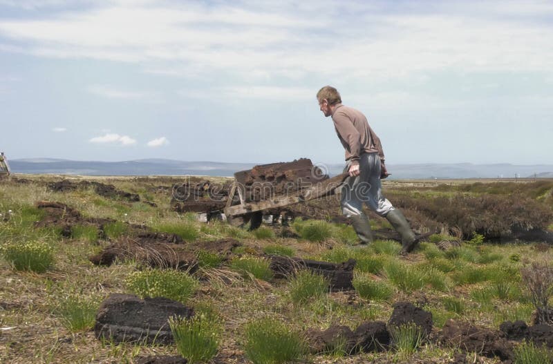 Cutting Turf Peat by Spade in Moss Bog in Ireland Stock Photo - Image ...