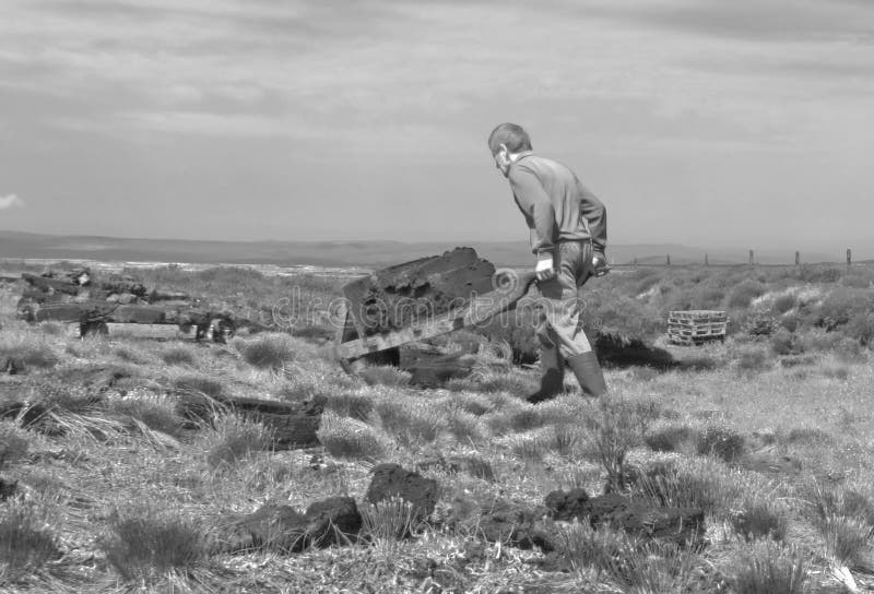 Cutting Turf Peat by Spade in Moss Bog in Ireland Stock Image - Image ...