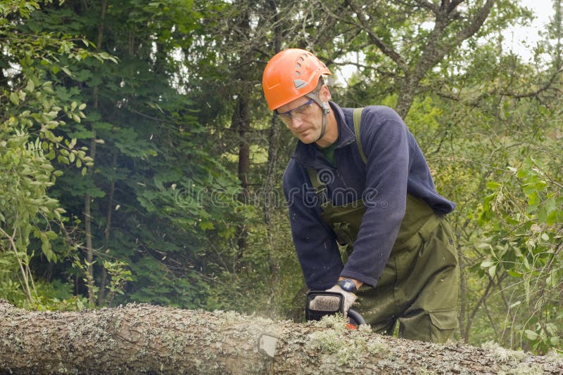 Cutting Tree Branch stock image. Image of hardworking - 18306057
