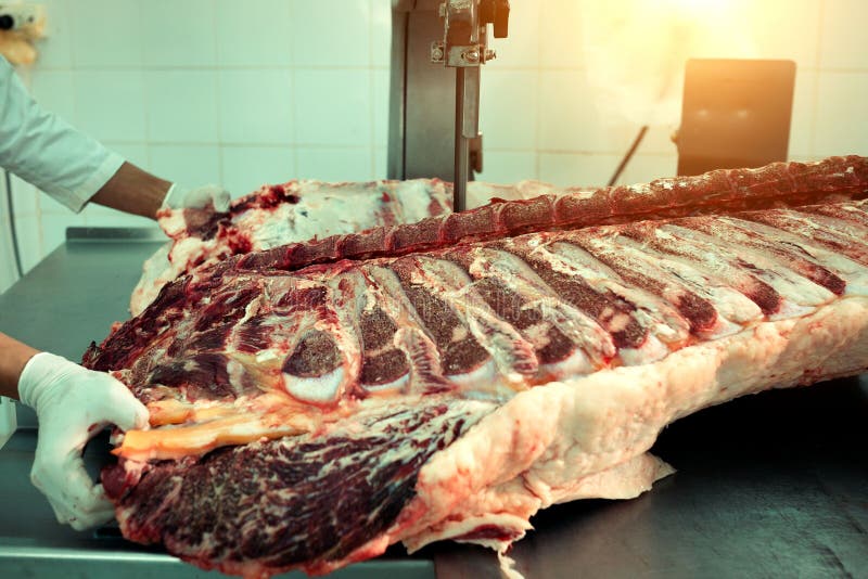 Cutting Wagyu Beef in the Process by Butcher in Slaughterhouse Stock ...