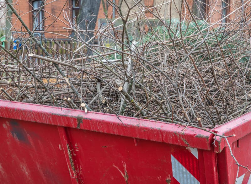 Cutting Waste in the Container Stock Image - Image of building, house ...