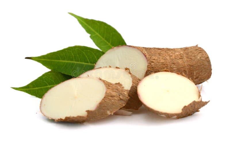 237 Fresh Cassava Slices Stock Photos - Free & Royalty-Free Stock ...