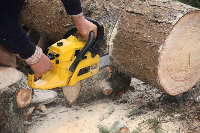 Cutting Wood with Chain Saw Stock Image - Image of wood, dividing: 13318547