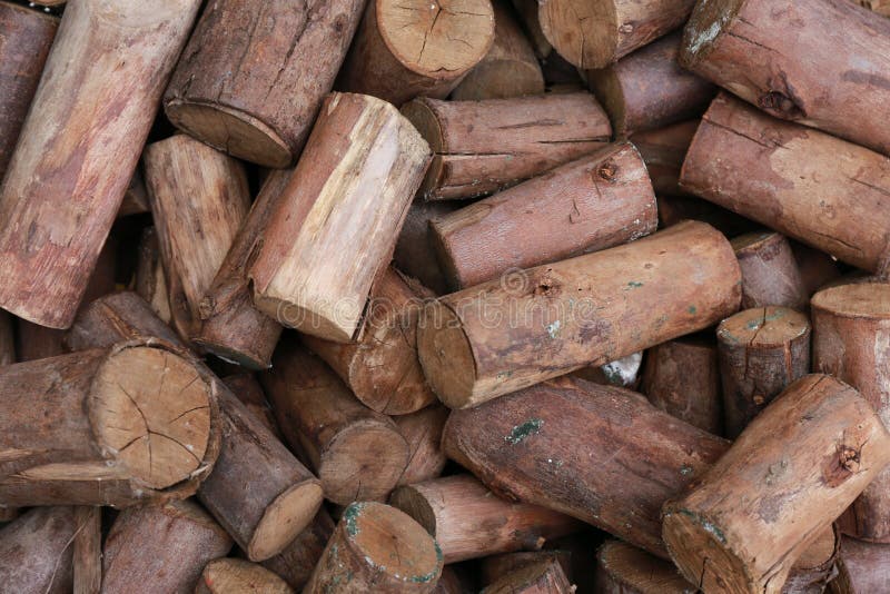 Cutting wood stock image. Image of group, brown, tree - 59868023