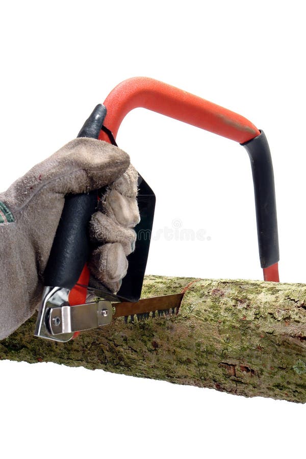 Cutting a Wood Log with a Hack Saw Stock Image - Image of sharp, lumber ...