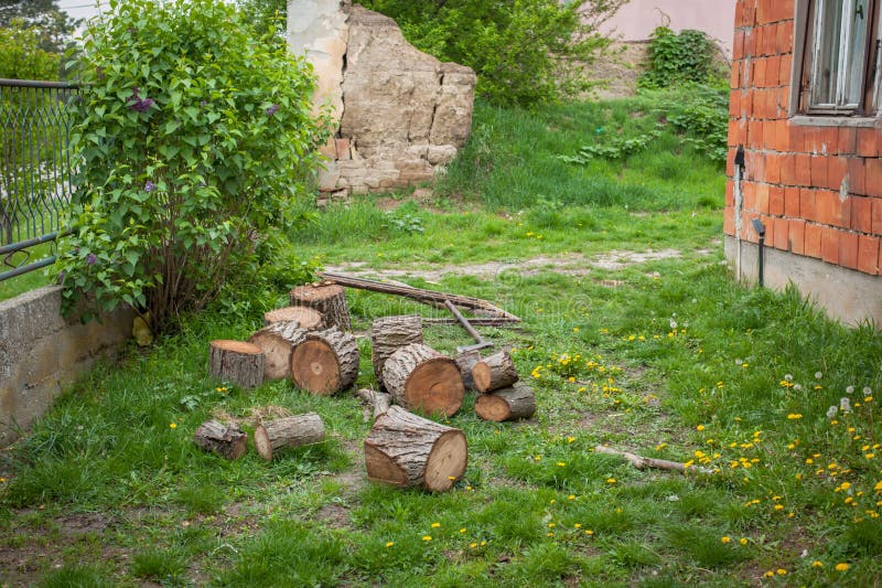 Cutting Wood in Nature on a Green Lawn. Tree and an Ax Stock Image ...