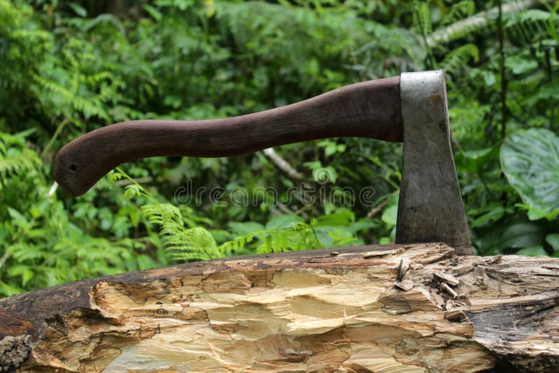 Woodland Craft Axe Stock Photos - Free & Royalty-Free Stock Photos from ...