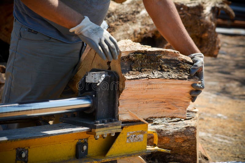 Cutting woods in logs stock photo. Image of wood, industry - 98481090