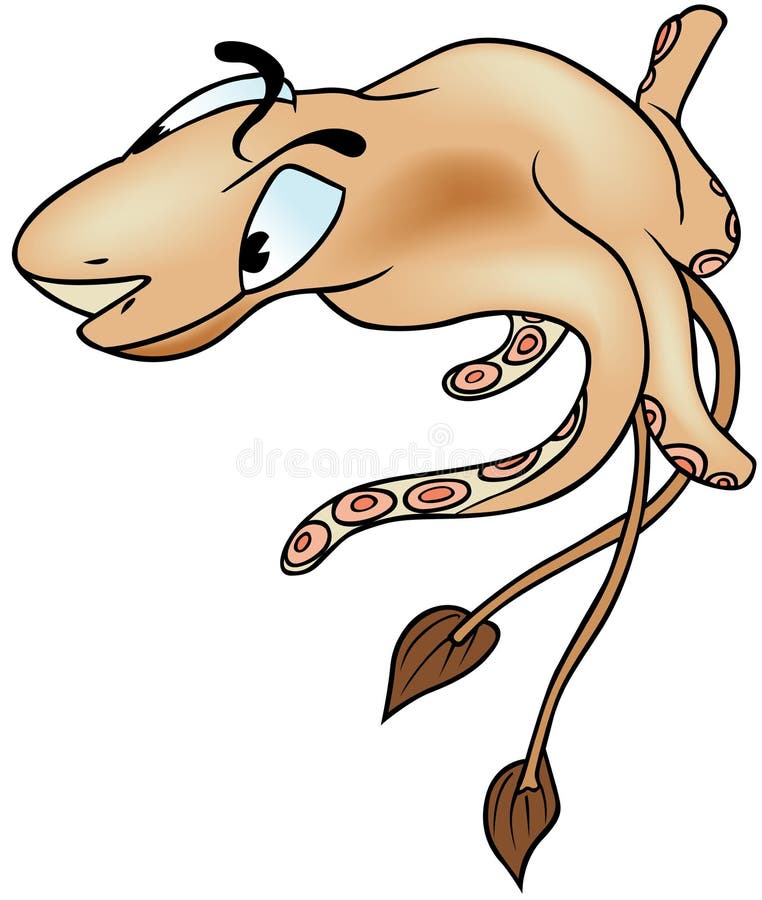 Cuttlefish stock vector. Illustration of life, cartoon - 17986411