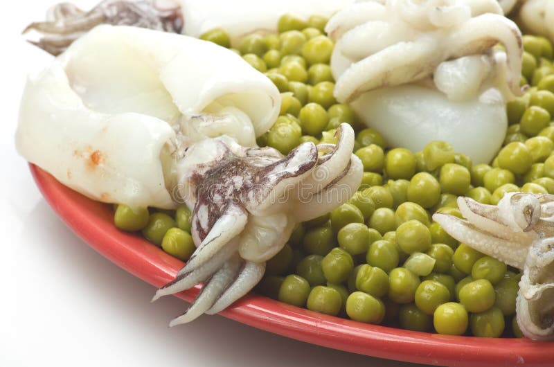 Cuttlefish stock image. Image of toast, cuttlefish, fragrant - 24437997