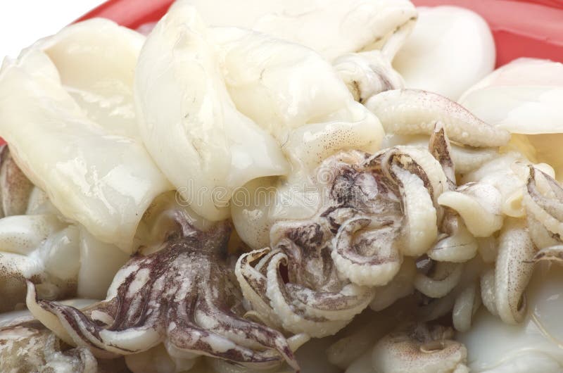 Cuttlefish stock photo. Image of lemon, dish, food, fresh - 25911026