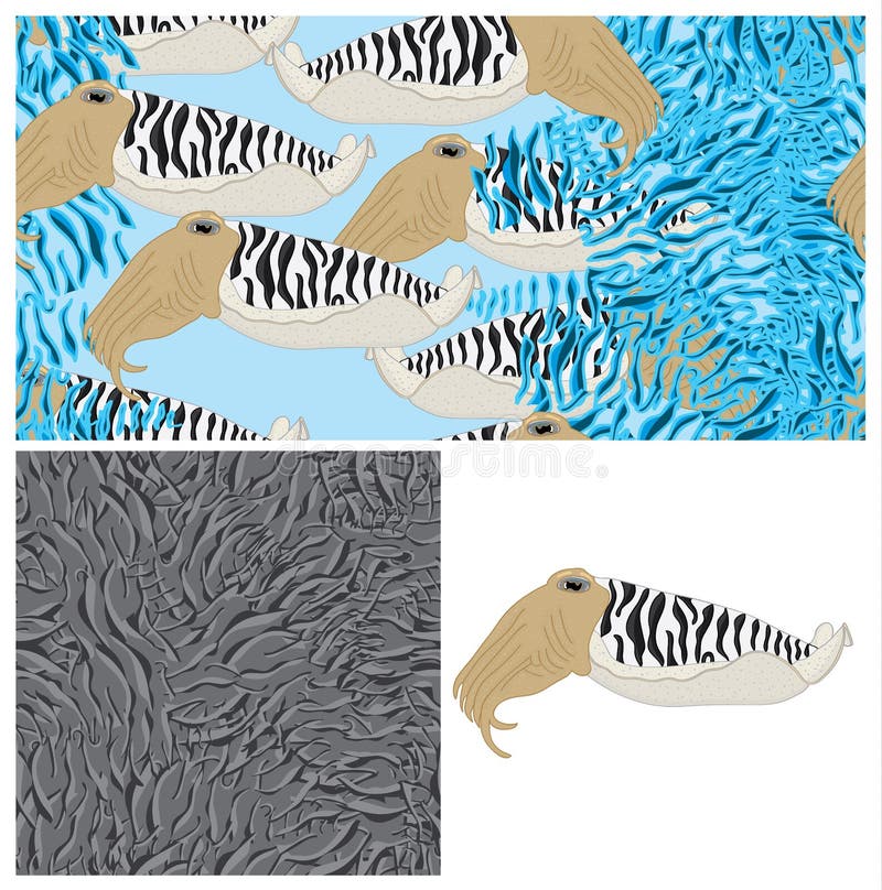 Cuttlefish Camouflage Frame Seamless Pattern Stock Vector ...