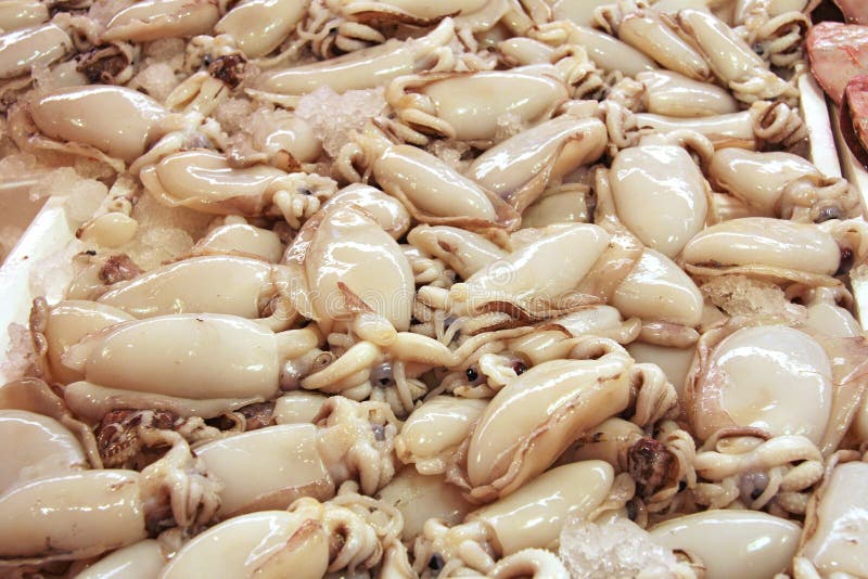 Cuttlefish stock image. Image of frozen, lots, cuisine - 33821385
