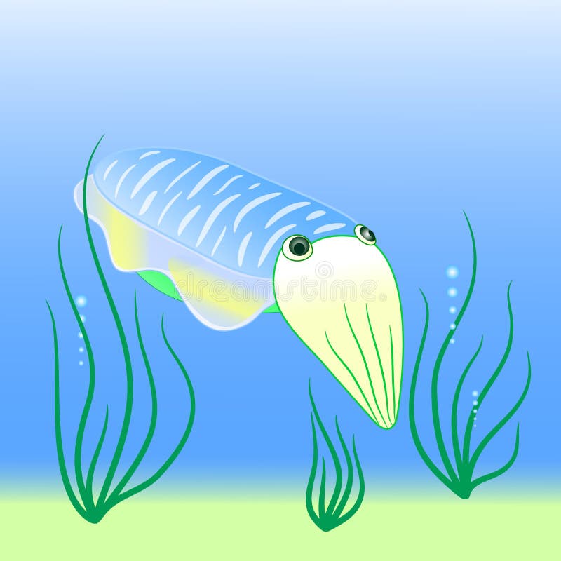 Squid Cartoon Character Vector Stock Vector - Illustration of character ...