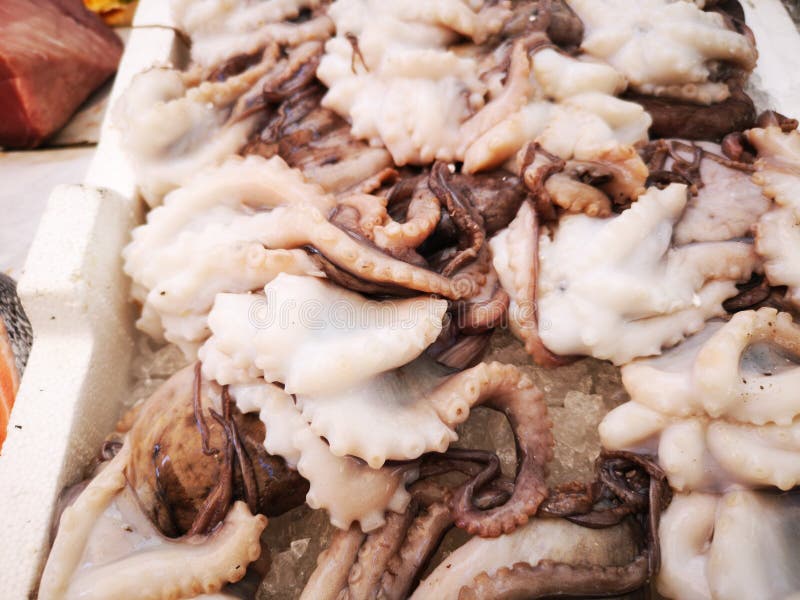 Cuttlefish at fish market stock photo. Image of crawfish - 129521696