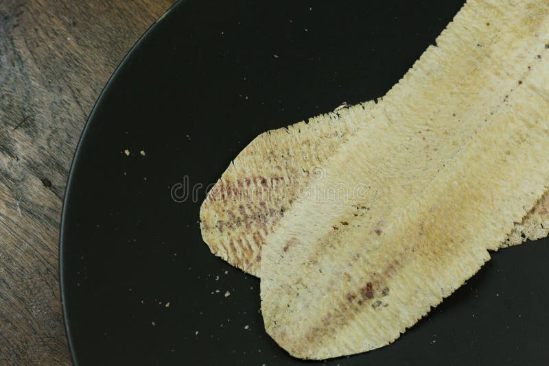 Cuttlefish Rolled Sea Food Close Up Image Stock Image - Image of frame ...