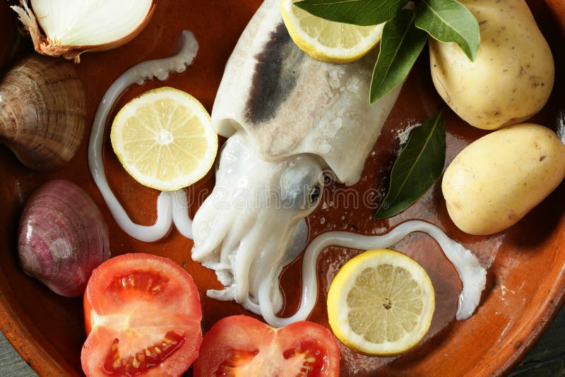 Cuttlefish Uncooked a Mediterranean Squid Stock Image - Image of ...