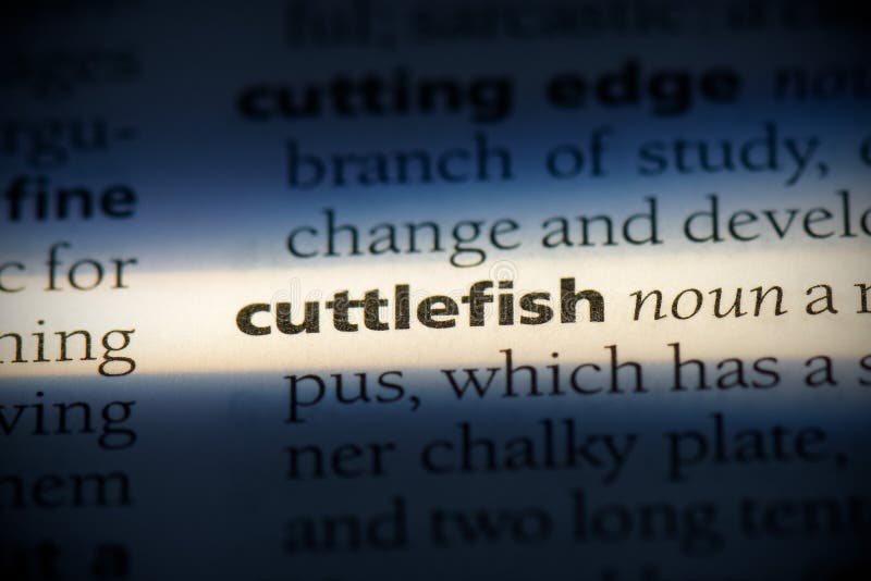 Cuttlefish stock photo. Image of macro, linguistic, minimal - 161578356