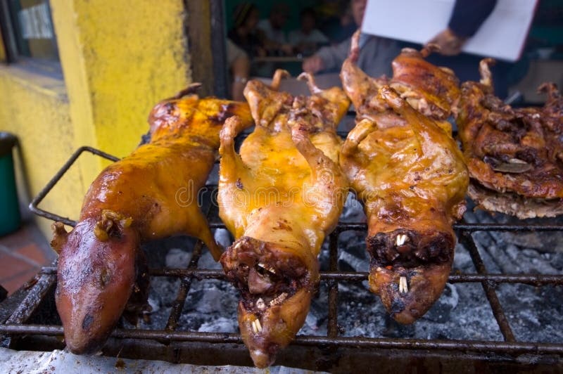 Cuy stock image. Image of roasted, fangs, cooked, amber - 6168759