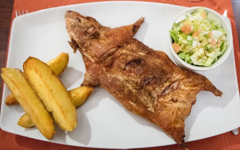 Fried guinea pig stock image. Image of andes, america - 103921879