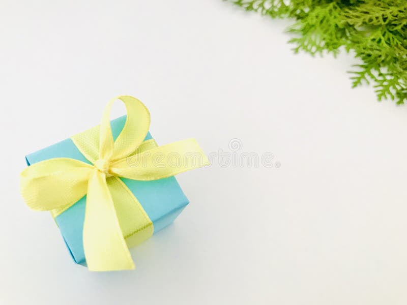 A Cyan Present and Oriental Arborvitae Branches on Two Corner of White ...