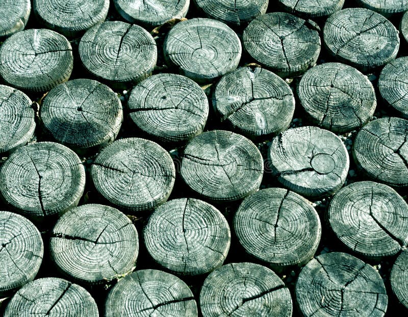 Cyan Toned Floor Made of Circle Logs. Stock Image - Image of board ...
