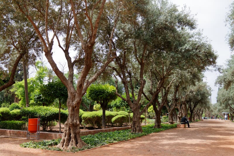 Marrakech - Cyber Park 3 editorial stock image. Image of attraction ...
