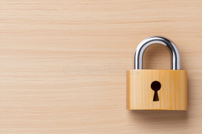 Cyber Safety and Computer Protection Concept Using Laptop Locks ...