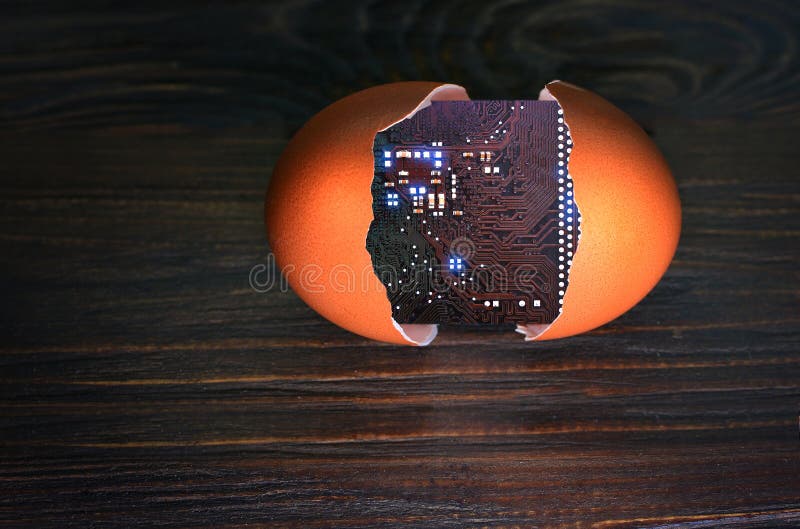 Egg Shell with a Microchip Inside Stock Image - Image of electric ...