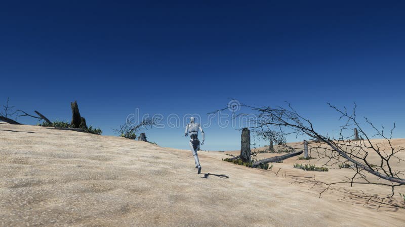 Cybernetic Desert City, Landscape of an Immersive Virtual Environment ...