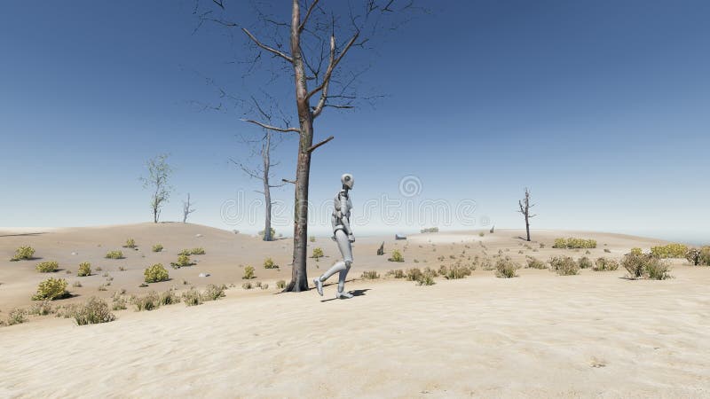 Cybernetic Desert City, Landscape of an Immersive Virtual Environment ...