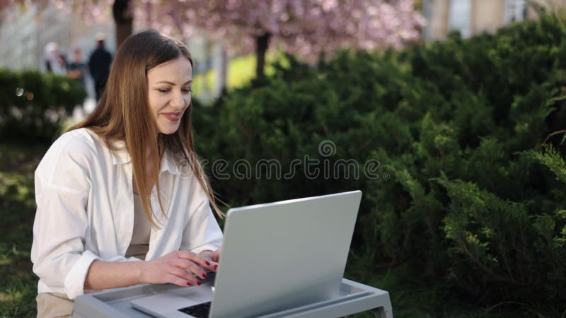 Cyberspace Job, Remote Office, Tree Backdrop Stock Footage - Video of ...