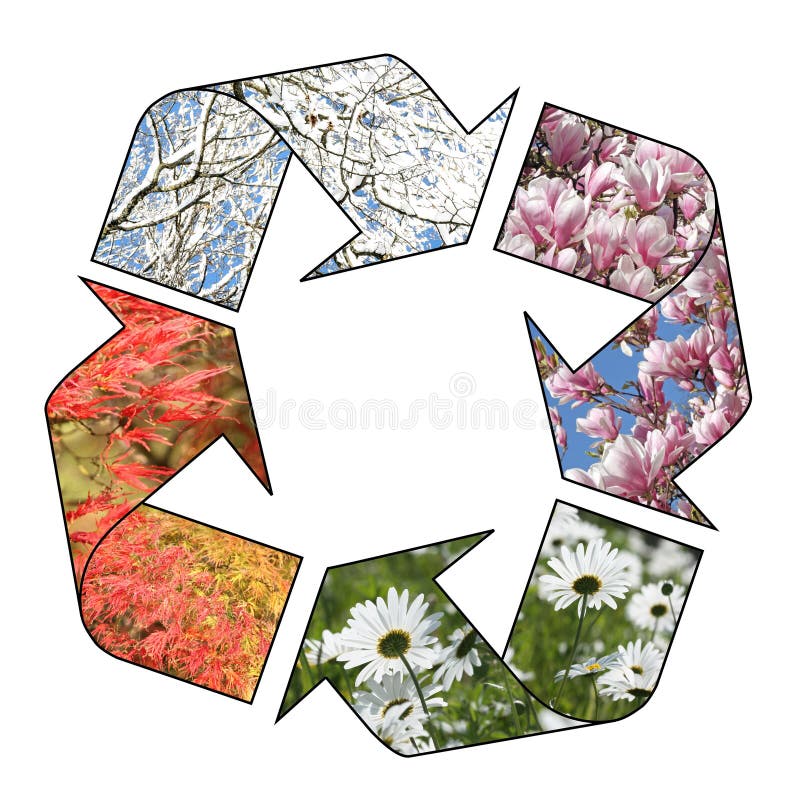 Cycle of four seasons stock illustration. Illustration of seasonal ...