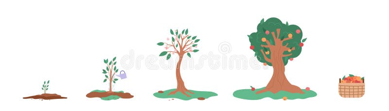Cartoon Apple Tree Sprout Stock Illustrations – 174 Cartoon Apple Tree ...
