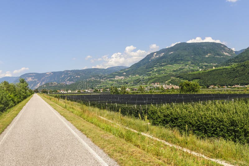 Cycle Lane of the Adige Valley Stock Photo - Image of cycle, straight ...