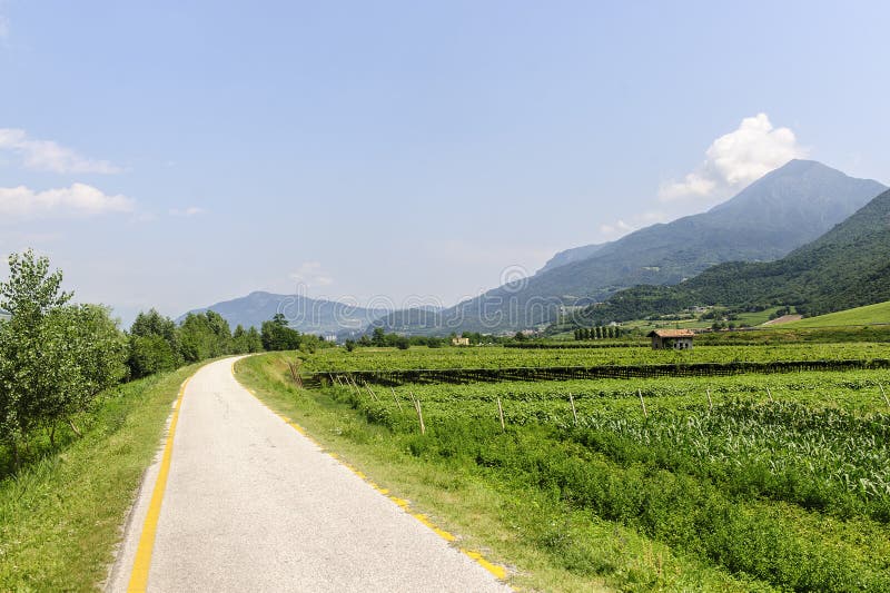 Cycle Lane of the Adige Valley Stock Photo - Image of italian, road ...