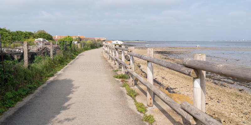 Cycle Lane in Beach in Web Banner Template Stock Image - Image of ...