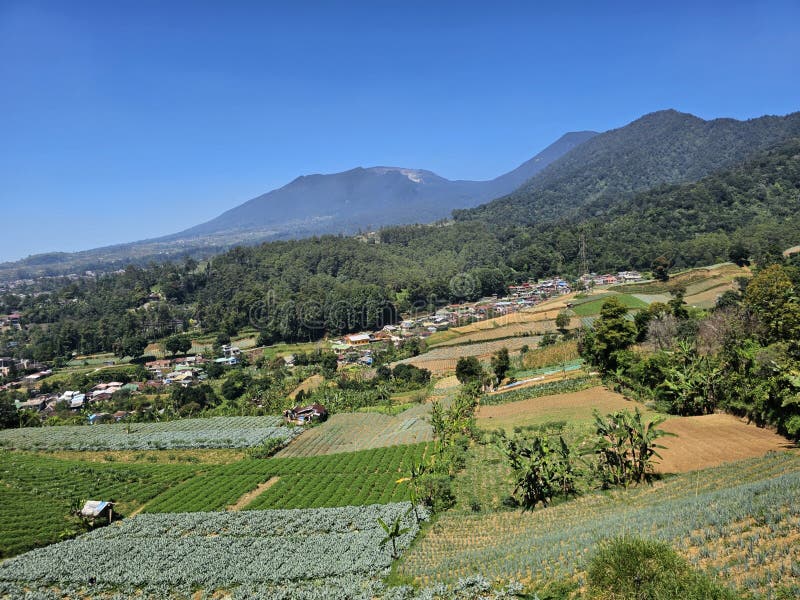 The Cycle of Life: a Reflection on Nature S Rhythms Stock Image - Image ...