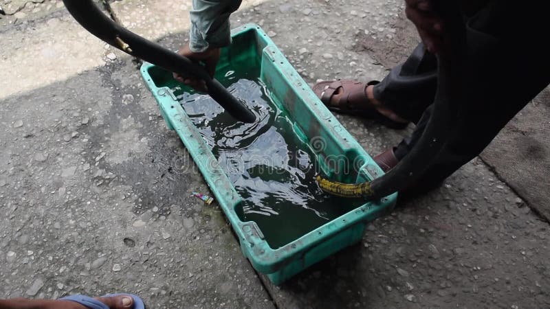 Cycle Mechanic Fixing Puncture Stock Footage - Video of hand, check ...