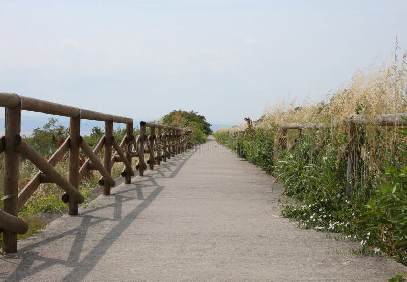 Cycle Path Along the Protected Nature Reserve with the Wooden Fe Stock ...