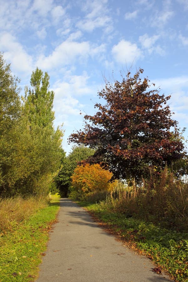 Cycle path in autumn stock photo. Image of scenery, cycle - 11333072