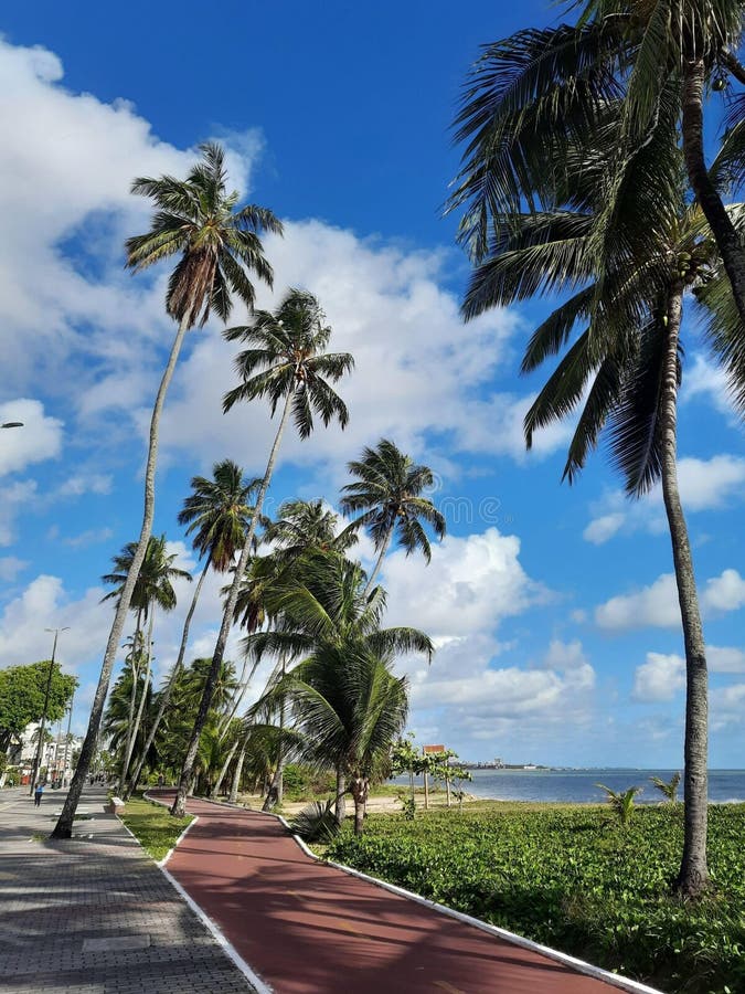 Cycle path on the beach stock image. Image of horizon - 339572959