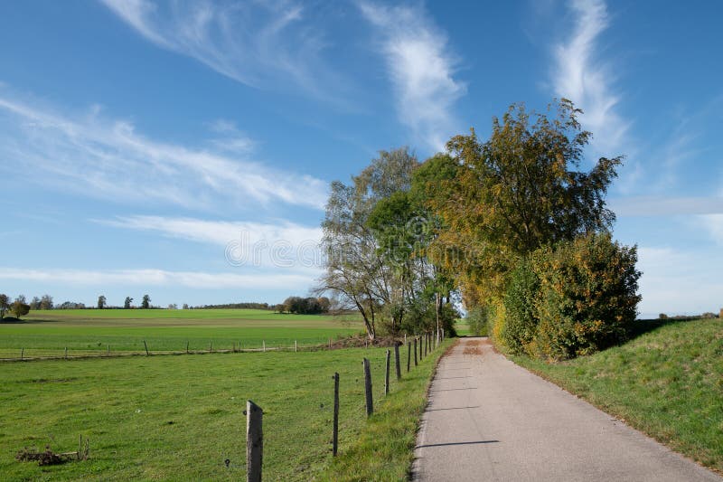 Field with Several Rows of Solar Panels, in the Style of Symmetrical ...